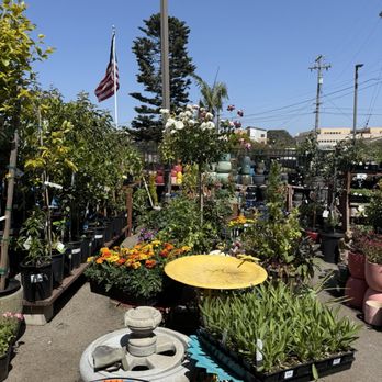 MINER’S ACE HARDWARE - Updated December 2025 - 38 Photos & 78 Reviews ...