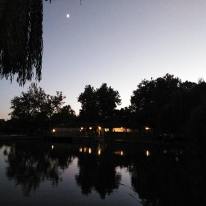 MICKE GROVE PARK - 116 Photos & 50 Reviews - Parks - 11793 N Micke ...