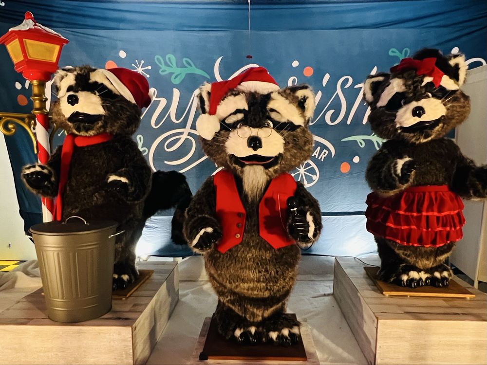 FUCCILE CHRISTMAS LIGHTS - Updated January 2026 - 29 Photos - 306 SE ...