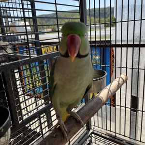 JANDA EXOTICS ANIMAL RANCH - Updated June 2025 - 34 Photos - 910 ...