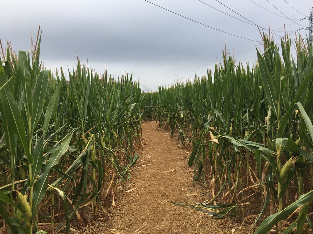 JETER FARM - Updated October 2025 - 181 Blue Ridge Blvd, Roanoke ...