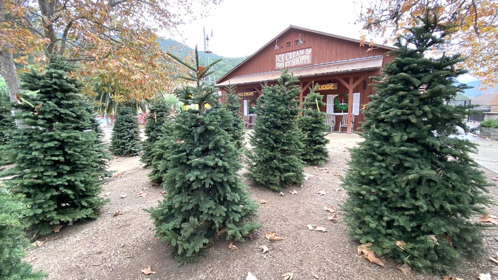 AVILA VALLEY BARN - 2578 Photos & 775 Reviews - 560 Avila Beach Dr, San ...