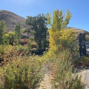 MAYBERRY PARK - 180 Photos & 43 Reviews - 121 Woodland Dr, Reno, NV - Yelp