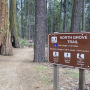 CALAVERAS BIG TREES STATE PARK - 1071 Photos & 330 Reviews - 1170 E Hwy ...