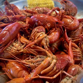 BAYOU CAT RESTAURANT - Updated May 2024 - 351 Photos & 372 Reviews ...