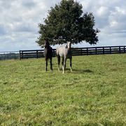 MILL RIDGE FARM - 54 Photos & 11 Reviews - 2800 Bowman Mill Rd ...