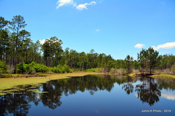 DESOTO NATIONAL FOREST - TUXACHANIE TRAIL POW CAMP - Updated July 2025 ...