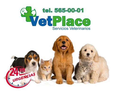 VETPLACE - Updated June 2024 - 14 Photos - Calz. Gomez Morín S/N ...