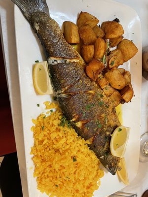 MATEUS RESTAURANT & BAR - Updated July 2024 - 198 Photos & 118 Reviews ...