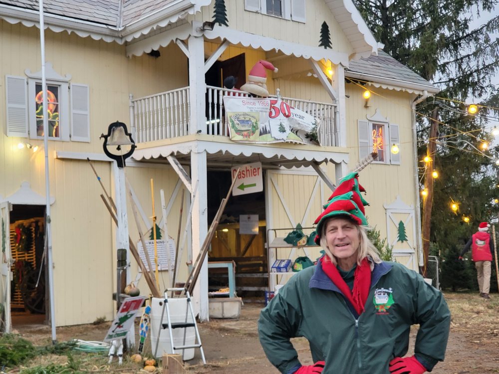 MR TREE FARM - Updated December 2025 - 30 Photos & 21 Reviews - 1099 ...