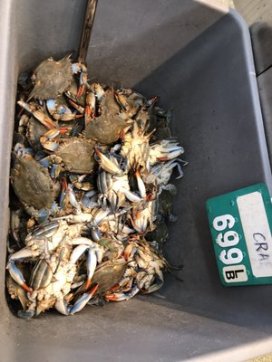 MAXIM MARKET - Updated June 2024 - 116 Photos & 90 Reviews - 1930 Aborn ...