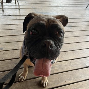 MANCHACA SPRINGS SALOON - Updated September 2025 - 40 Photos & 16 ...