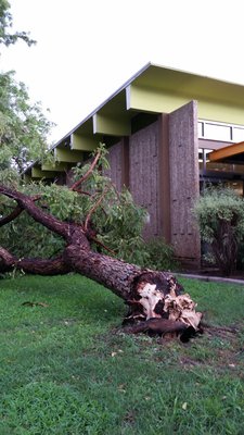 SAGUARO LIBRARY - Updated October 2025 - 19 Photos & 21 Reviews - 2808 ...