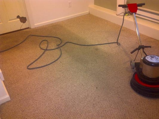 CARPET WIZARD - Updated August 2025 - 53 Photos & 97 Reviews - Hayward ...