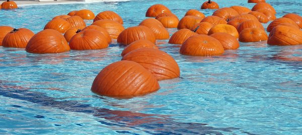 WORTHINGTON POOLS - Updated November 2024 - 23 Photos - 400 W Dublin ...