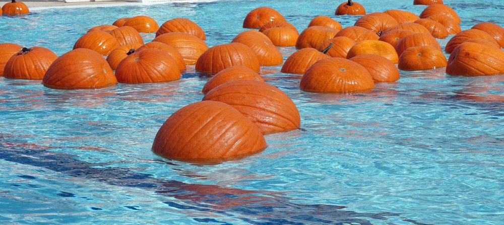 WORTHINGTON POOLS - Updated November 2024 - 23 Photos - 400 W Dublin ...