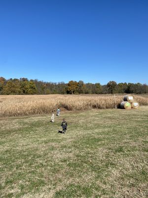 RUTLEDGE-WILSON FARM COMMUNITY PARK - Updated October 2024 - 42 Photos ...