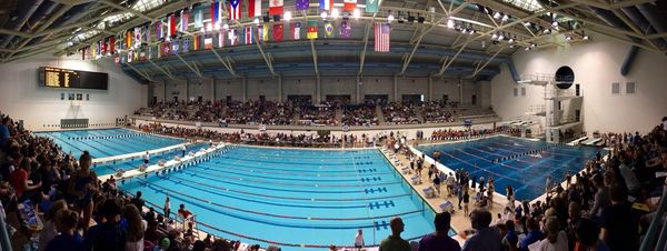 WEYERHAEUSER KING COUNTY AQUATIC CENTER - Updated November 2024 - 56 ...