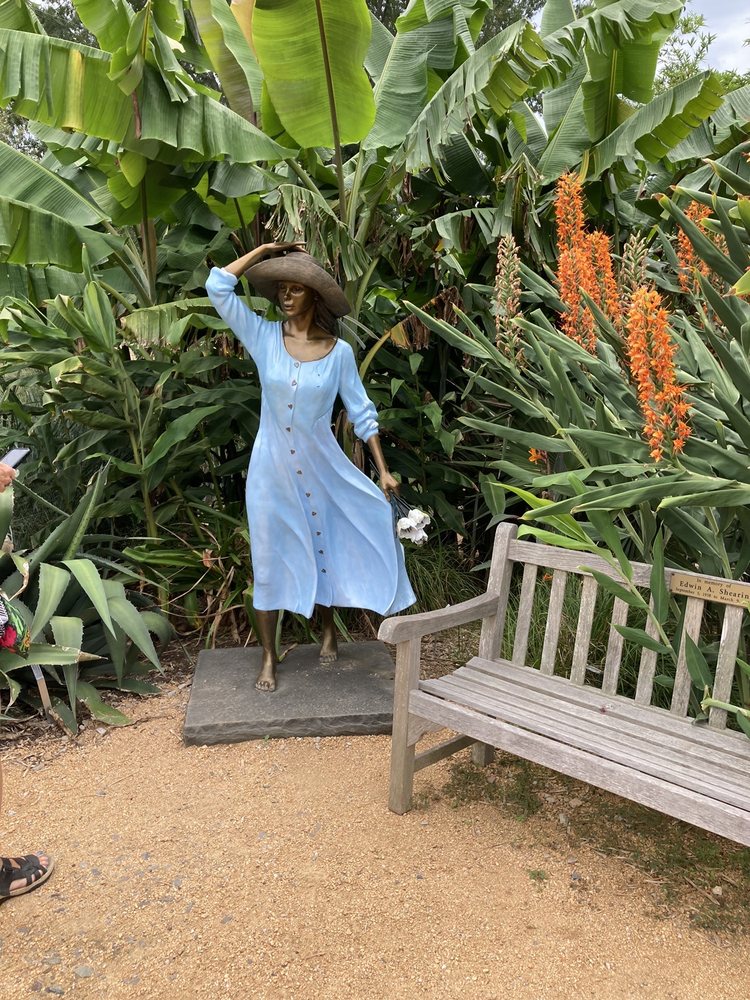 JC RAULSTON ARBORETUM - Updated September 2025 - 639 Photos & 112 ...