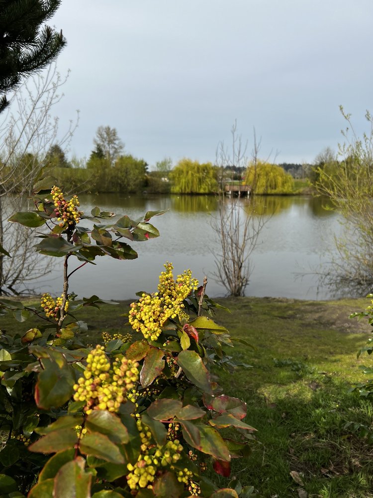 LEVEE POND PARK - Updated July 2025 - 19 Photos - 7118 49th St E, Fife ...