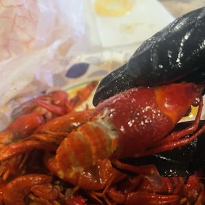 DIP SEAFOOD - MUDBUGS - Updated October 2025 - 47 Photos & 46 Reviews - 1870 Dauphin Island Pkwy ...