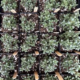 WINTER RIDGE NATURAL FOODS MARKET - Updated December 2025 - 36 Photos ...