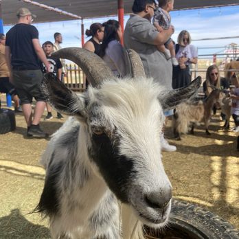 VERTUCCIO FARMS - Updated December 2025 - 336 Photos & 163 Reviews ...