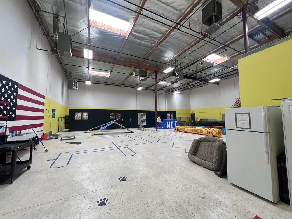 NORTON DOG TRAINING - Updated October 2025 - 7115 Bermuda Rd, Las Vegas ...