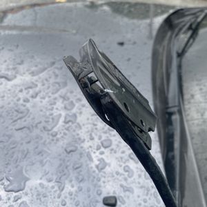 MANHEIM CENTRAL FLORIDA - Updated July 2025 - 11 Photos - 9800 Bachman ...