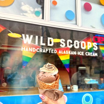 WILD SCOOPS - TEMP. CLOSED - Updated February 2025 - 395 Photos & 355 ...