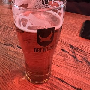 BREWDOG SHORT NORTH - 131 Photos & 91 Reviews - 1175 N High St ...