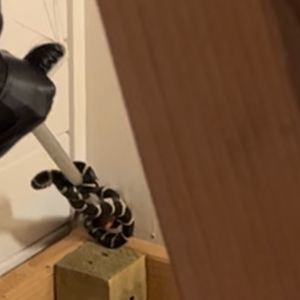 BAGATELLE GOSMAN’S - Updated September 2025 - 16 Reviews - 500 W Lake ...