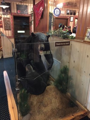 WILDCAT INN - 10 Photos - W8270 County Rd B, Neillsville, Wisconsin ...