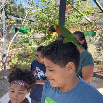 TRACY AVIARY - Updated August 2024 - 495 Photos & 177 Reviews - 589 E ...