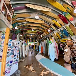 MITCH’S SURF SHOP - Updated June 2025 - 15 Photos & 99 Reviews - 631 ...