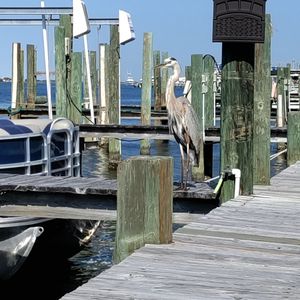 COMMANDO INN - Updated July 2025 - 301 Tully St, Hurlburt Field ...