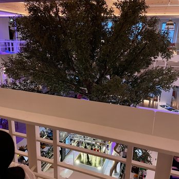 PANGEA - Updated August 2024 - 37 Photos & 12 Reviews - 104 Rue Saint ...