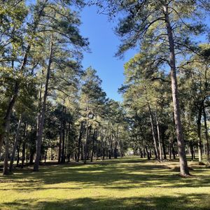 ALEXANDER DEUSSEN PARK - Updated March 2025 - 133 Photos & 53 Reviews ...