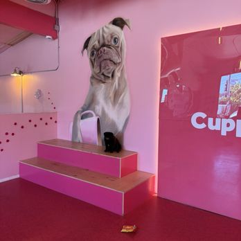 CUPPA PUG - Updated August 2025 - 175 Photos & 67 Reviews - 607 W 9th ...