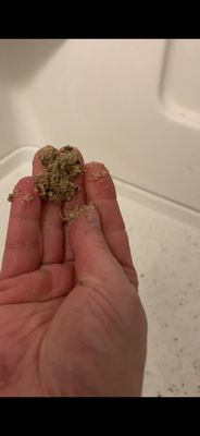 HydroSolution - Updated October 2025 - 18 Photos - 40 Reviews - 7100 ...