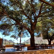 SOLAR FORTUN - 60 Photos & 15 Reviews - Calle 10 S/N, El Sauzal, Baja ...