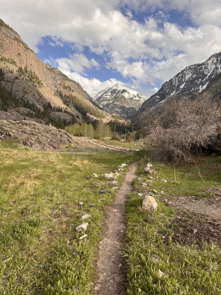 ALIGN RX - Updated May 2024 - Request Consultation - Ouray, Colorado ...