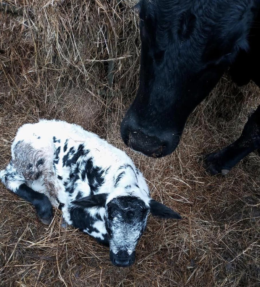 R & R RANCH - Updated December 2025 - Request a Quote - 22 Photos ...