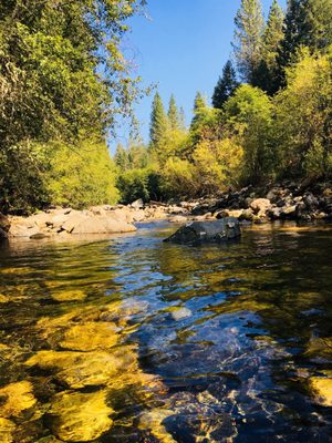 PIPI CAMPGROUND - 110 Photos & 38 Reviews - Campgrounds - Pioneer, CA ...