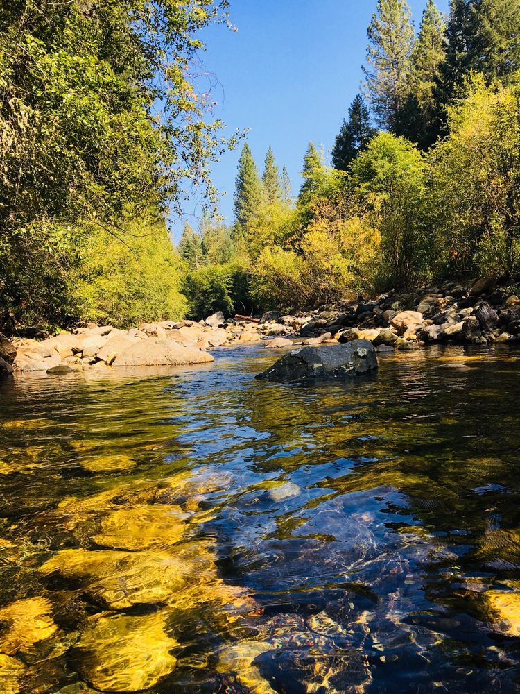 PIPI CAMPGROUND - 110 Photos & 38 Reviews - Campgrounds - Pioneer, CA ...