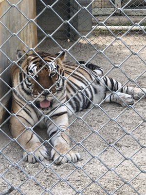 OCTAGON WILDLIFE SANCTUARY - 116 Photos & 34 Reviews - 41660 Horseshoe ...