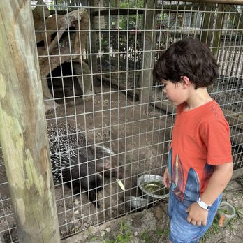 ZOOLOGICAL WILDLIFE FOUNDATION - Updated May 2025 - 918 Photos & 250 ...