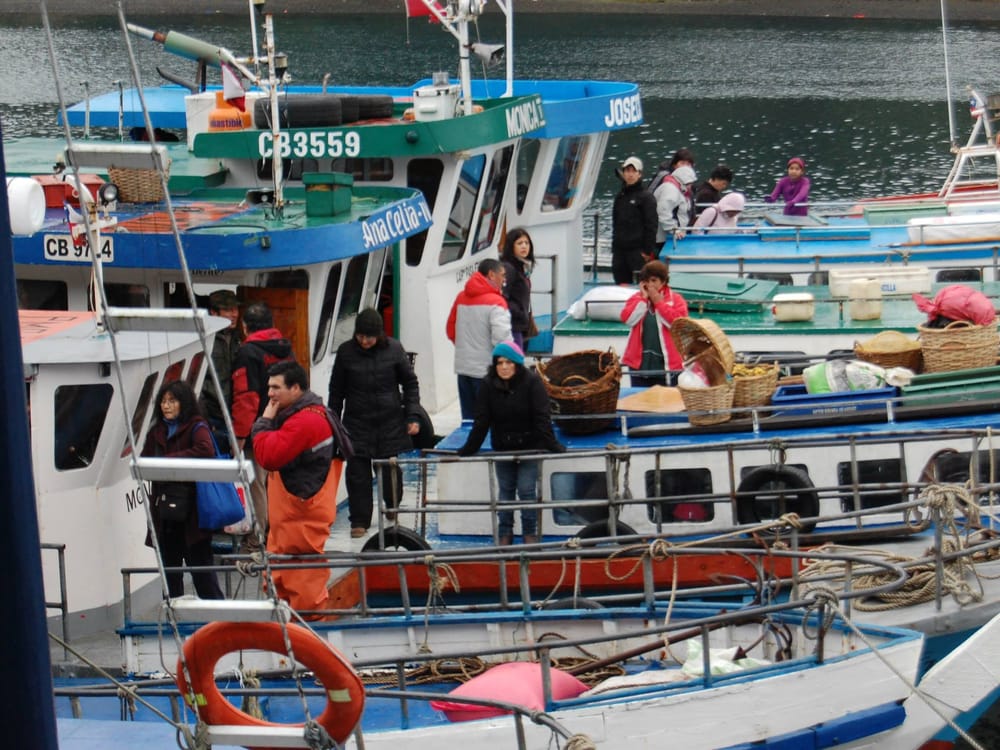 CALETA DE ANGELMÓ - Updated October 2024 - 11 Photos - Los Lagos Puerto ...