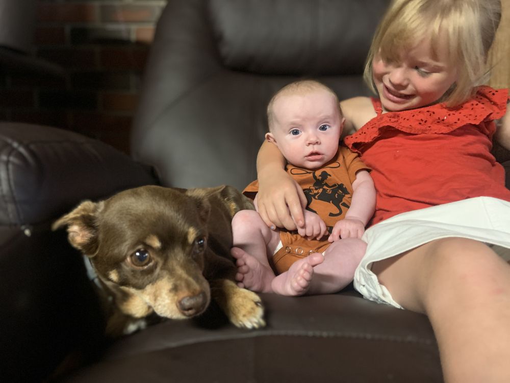 MILAN VETERINARY CLINIC - Updated May 2026 - 17 Photos - 27964 Rte 220 ...