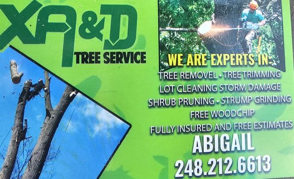 XA&D TREE SERVICES - Updated September 2025 - Request a Quote - Detroit, Michigan - Tree ...